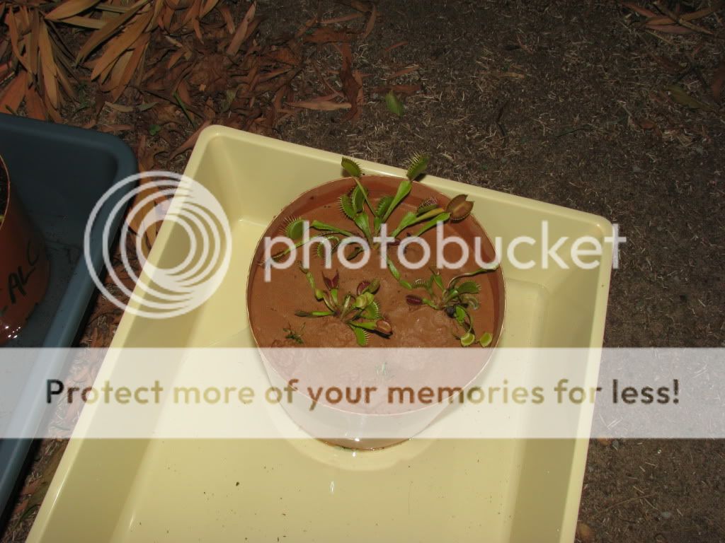 If-'Looks' Said-it-ALL ... They'd-be DEAD!!! >(*U^)