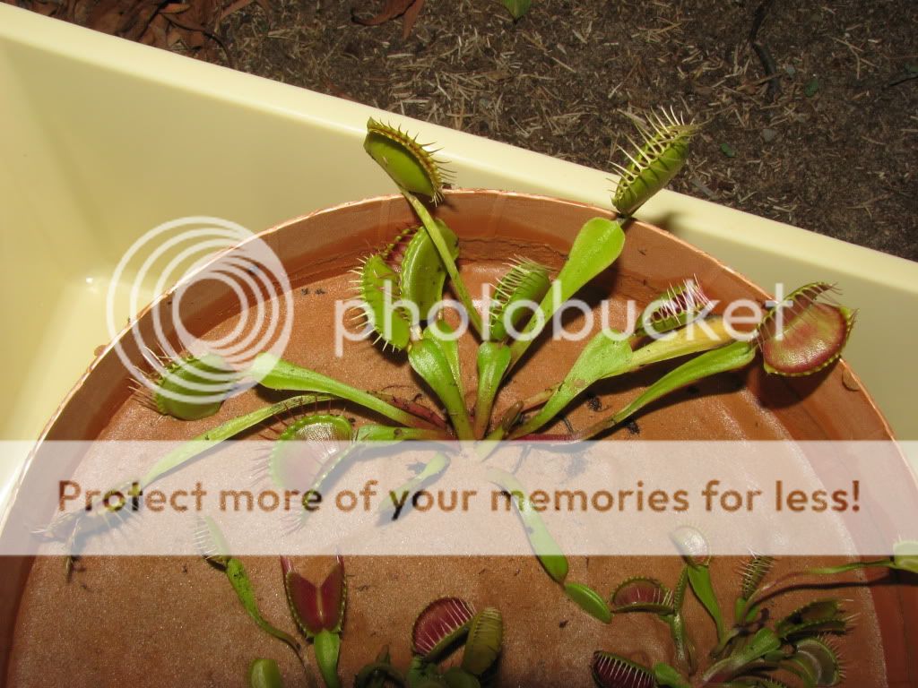 If-'Looks' Said-it-ALL ... They'd-be DEAD!!! >(*U^)