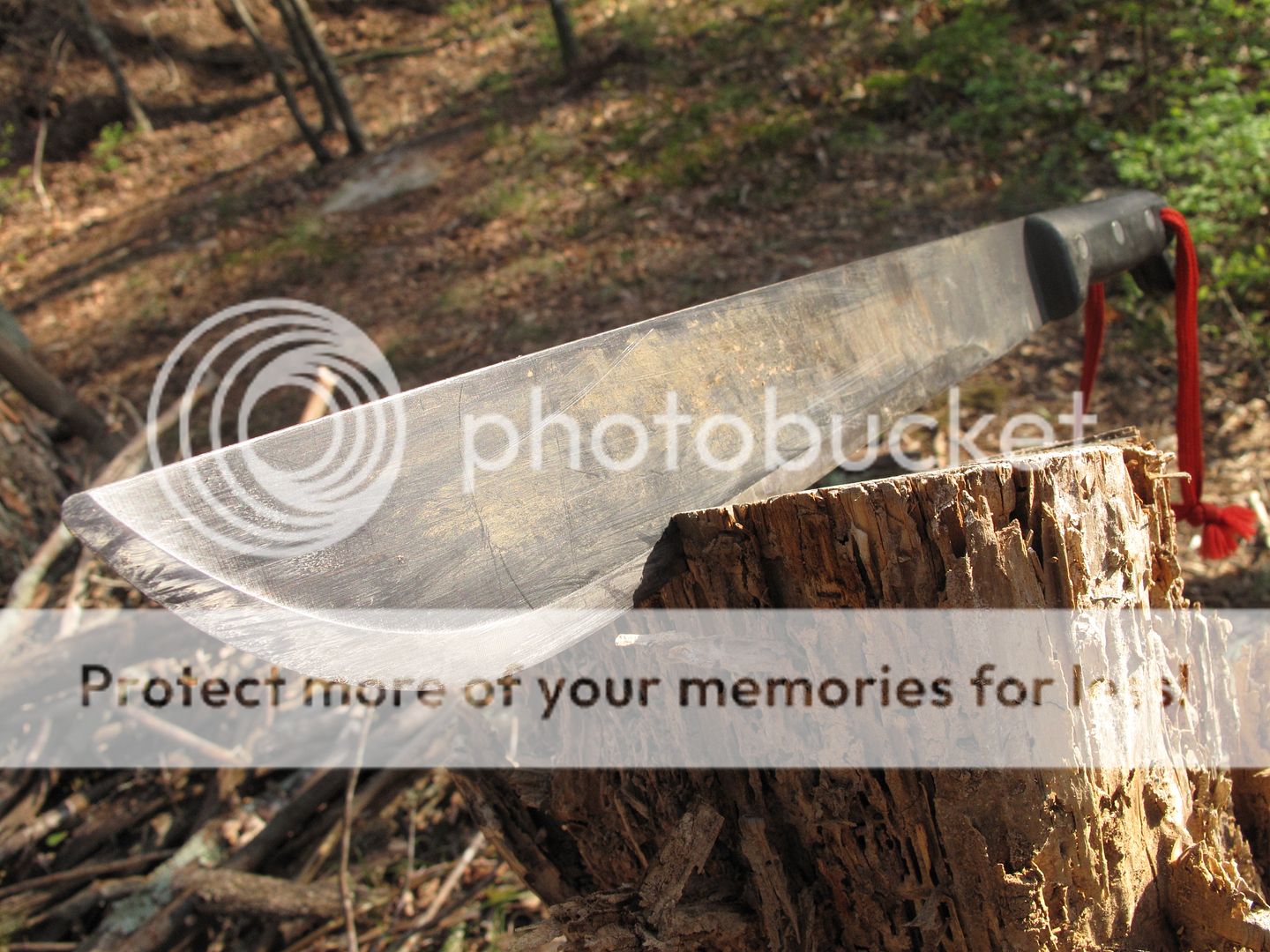 Machetes for all occasions | BladeForums.com